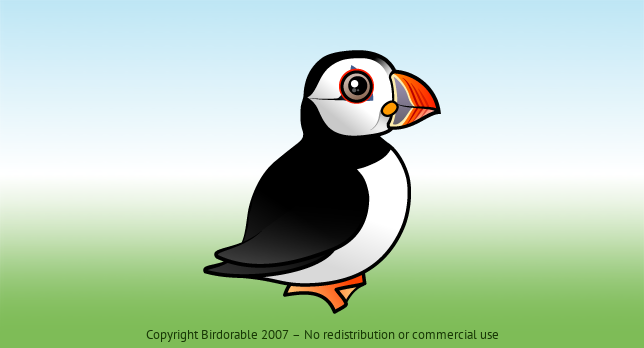 Cute Atlantic Puffin by Birdorable