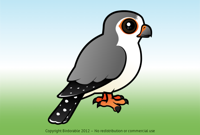 Meet the Cute African Pygmy Falcon by Birdorable