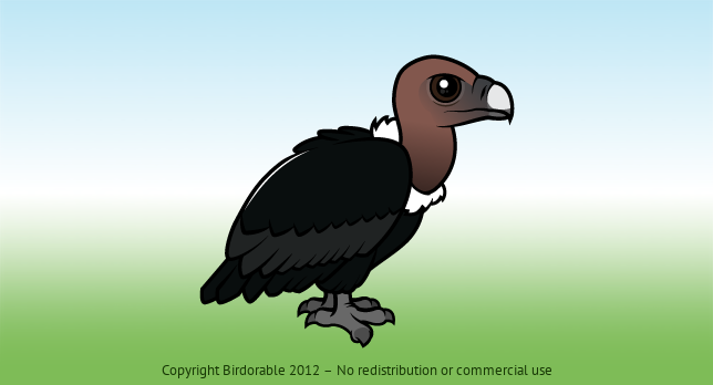 Meet the Cute White-rumped Vulture by Birdorable