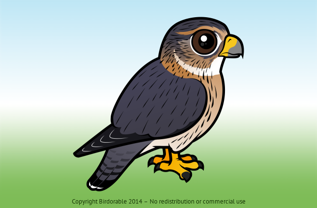 Cute Merlin by Birdorable