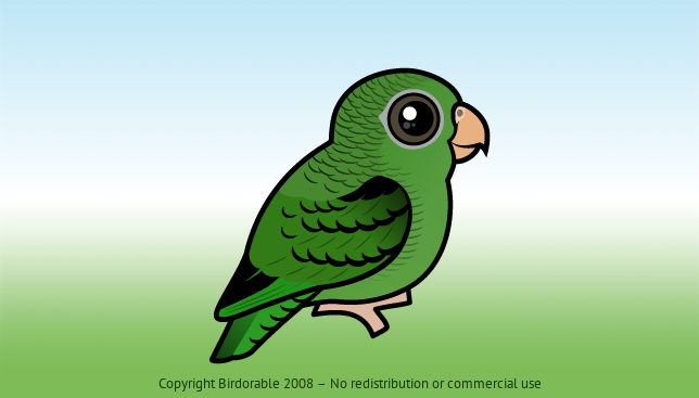 Cute Barred Parakeet by Birdorable