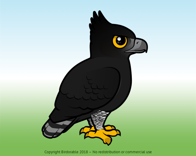 Read About the Elusive Black Hawk-Eagle | Birdorable Birds
