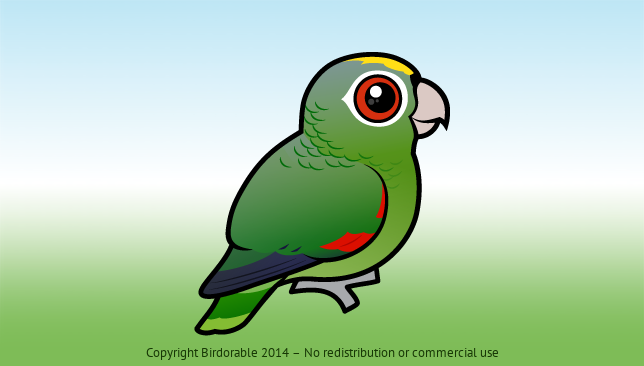 Cute Mealy Parrot by Birdorable