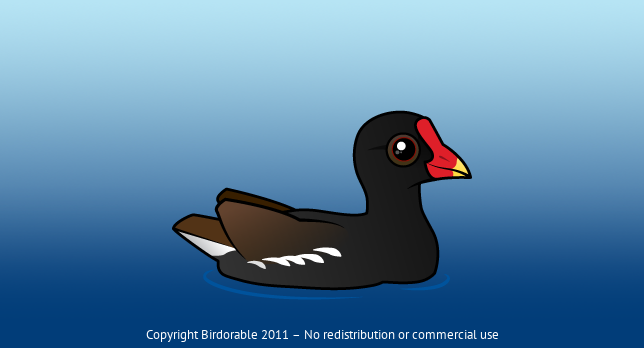 Cute Common Gallinule by Birdorable