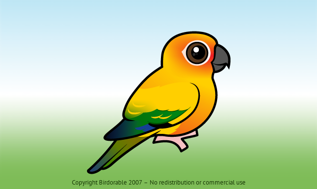 Cute Sun Parakeet by Birdorable