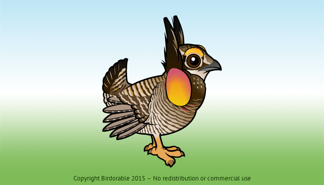Meet the Cute Greater Prairie-Chicken by Birdorable