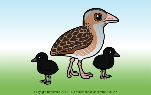 Cute Corn Crake by Birdorable