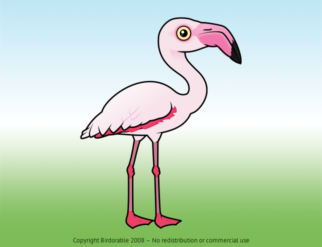 Cute Greater Flamingo by Birdorable