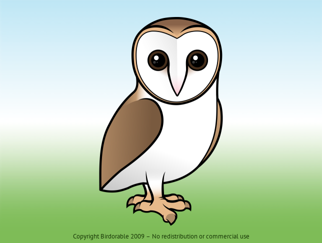 Cute Barn Owl by Birdorable