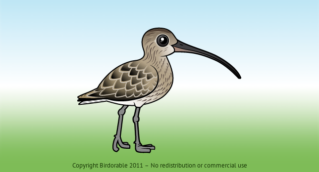 Cute Eurasian Curlew by Birdorable