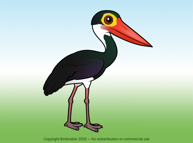 Cute Cartoon Storm's Stork