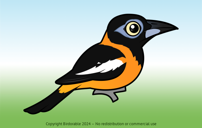 Venezuela National Bird The Venezuelan Troupial Is The National Bird