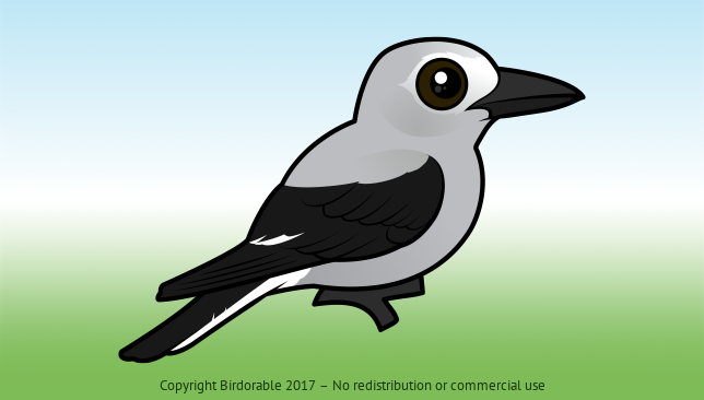 Learn about the Memory Master Clark's Nutcracker | Birdorable