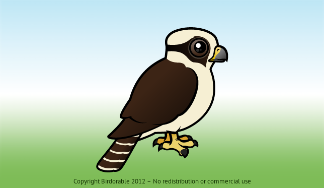 Cute Laughing Falcon by Birdorable