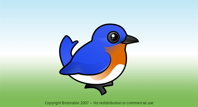 Cute Eastern Bluebird by Birdorable