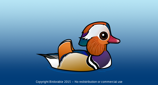 Cute Mandarin Duck from Birdorable