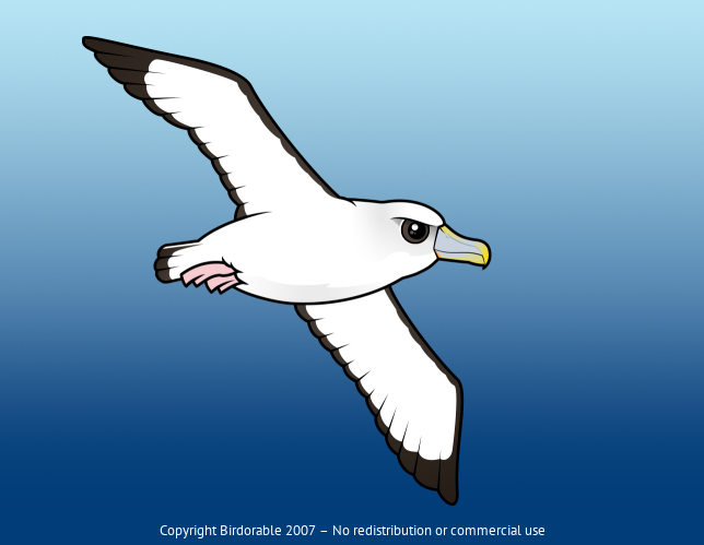 Cute Shy Albatross by Birdorable