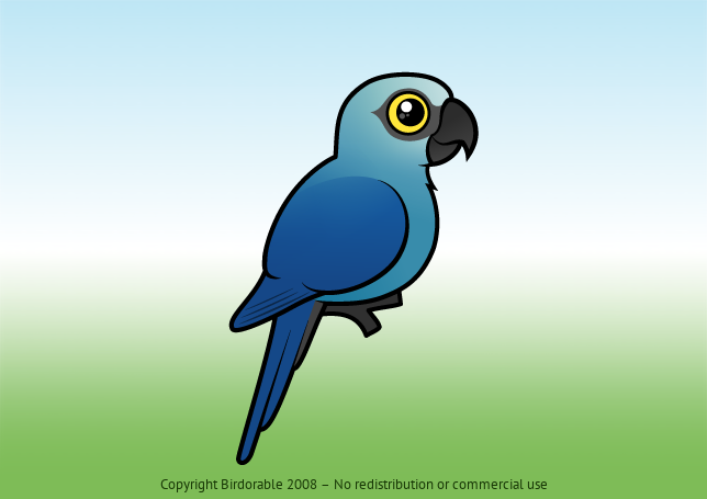 Meet the Endangered Spix's Macaw by Birdorable | Meet the Birds