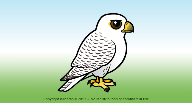 Cute Gyrfalcon by Birdorable