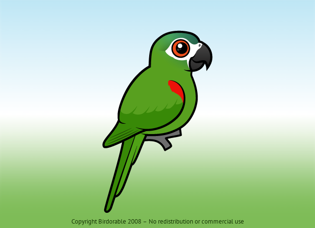 Meet the Cute Red-shouldered Macaw by Birdorable