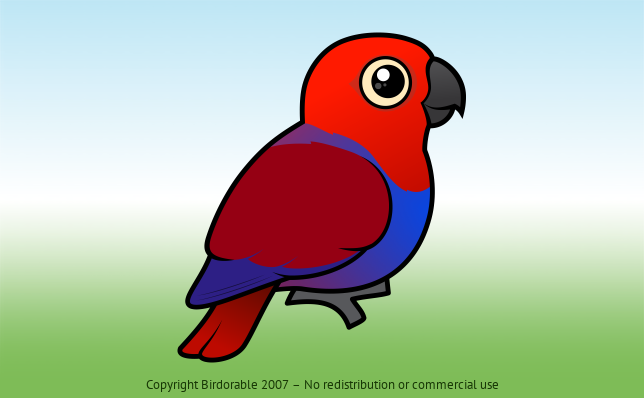 Cute Eclectus Parrot by Birdorable