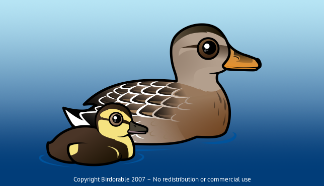 Cute Mallard by Birdorable