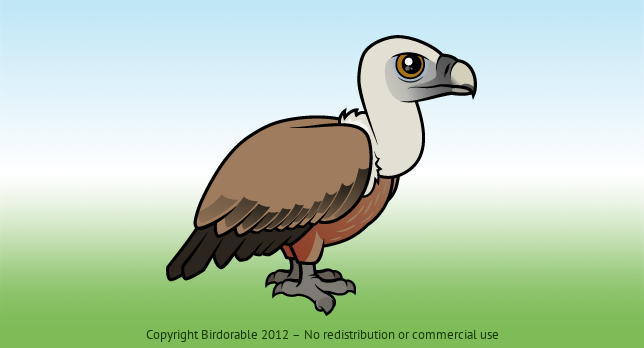 Meet the Griffon Vulture - Europe's Giant Scavenger | Birdorable