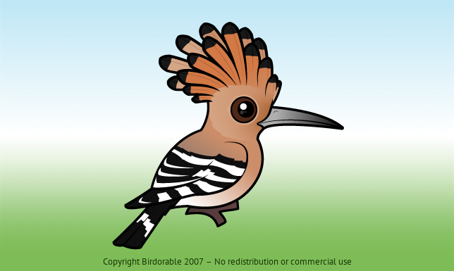 Meet the Distinctive and Colorful Hoopoe | Birdorable Birds