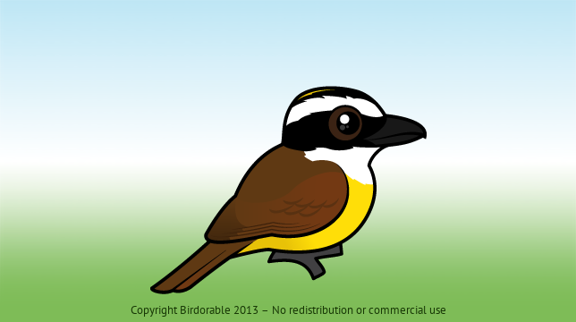 Meet the Great Kiskadee: Colorful and Vocal | Birdorable Birds