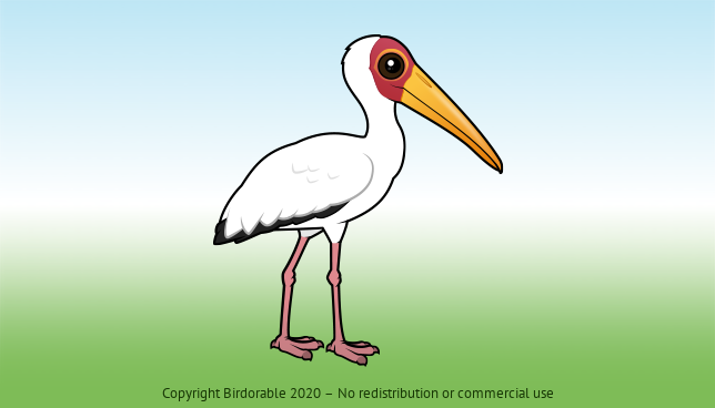 Cute Cartoon Yellow-billed Stork