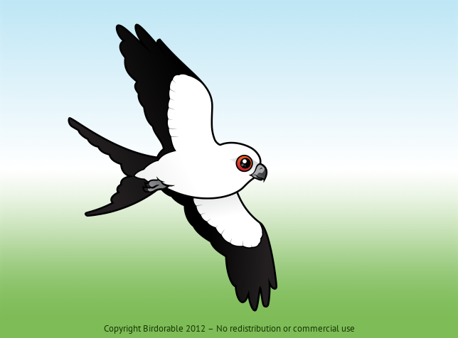 Cute Swallow-tailed Kite by Birdorable
