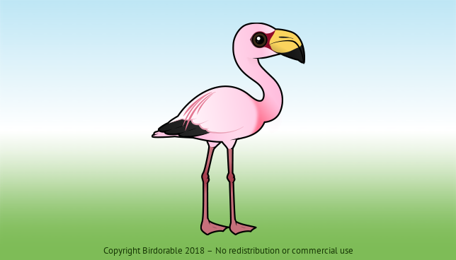 Meet the Cute James's Flamingo / Puna Flamingo by Birdorable