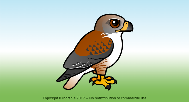 Cute Ferruginous Hawk by Birdorable