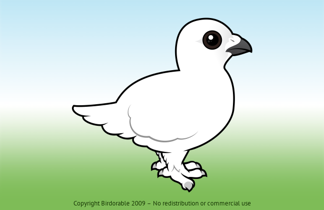 Cute Willow Ptarmigan by Birdorable