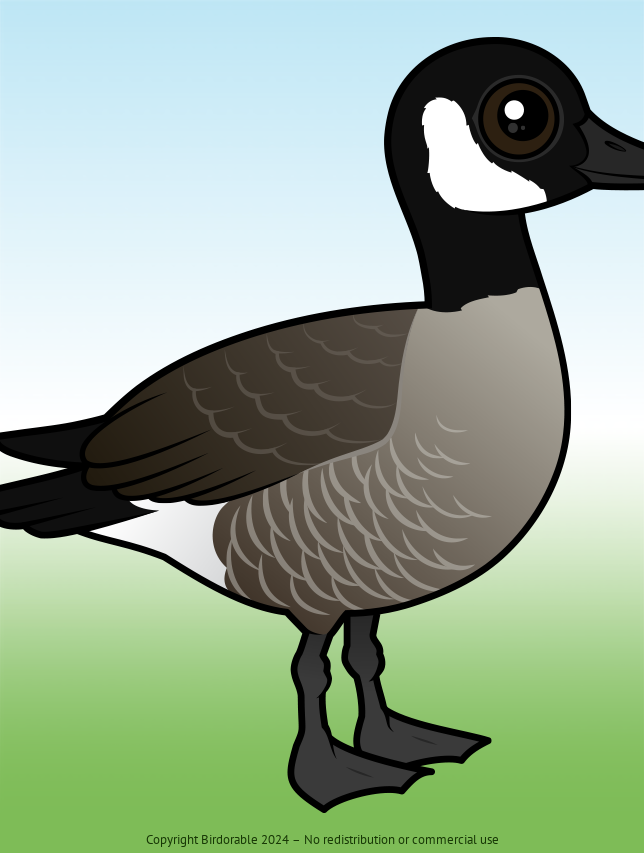 Cute Canada Goose by Birdorable