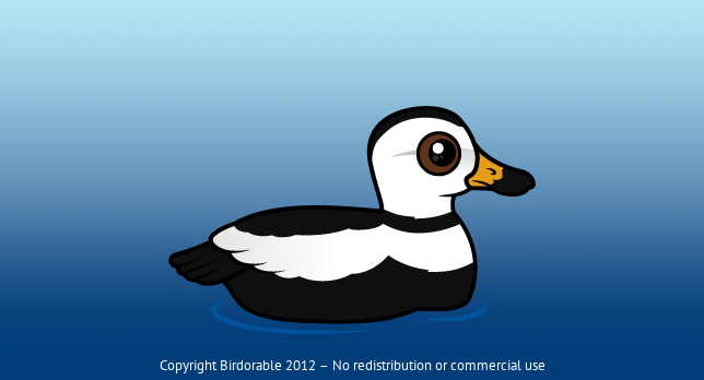 Cute Labrador Duck by Birdorable