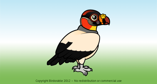 Cute King Vulture by Birdorable