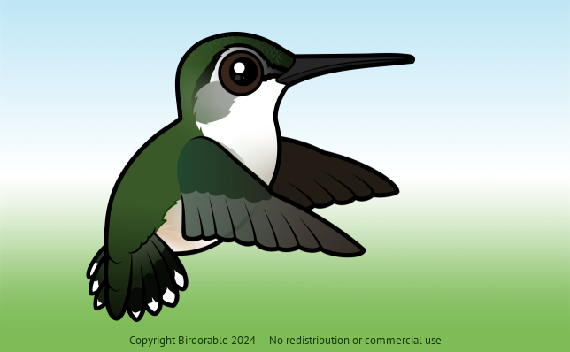 Meet the Cute Ruby-throated Hummingbird by Birdorable