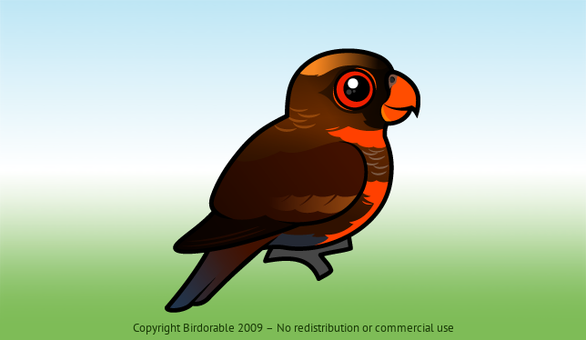 Meet the Dusky Lory: New Guinea’s Vibrant Parrot | Birdorable Birds