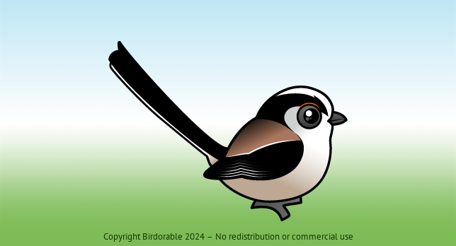 Meet the Long-tailed Tit: Fluffy Flock Bird | Birdorable Birds