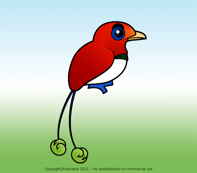 Meet the Cute King Bird-of-paradise by Birdorable