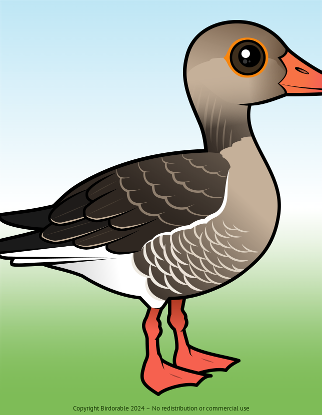 Cute Greylag Goose by Birdorable