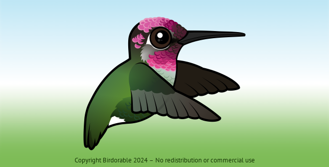 Cute Anna's Hummingbird by Birdorable
