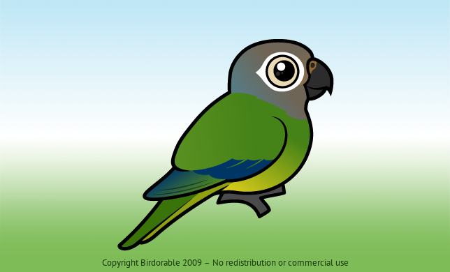 Meet the Charming Dusky-headed Parakeet | Birdorable Birds