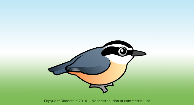 Meet the Cute Red-breasted Nuthatch by Birdorable