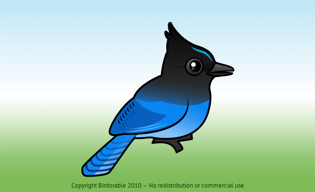 Learn about the Curious and Social Steller's Jay | Birdorable Birds