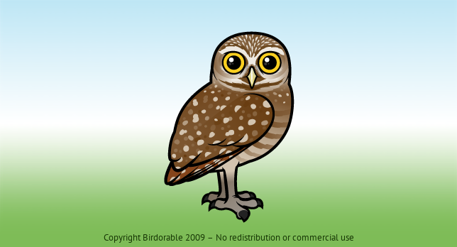 Cute Burrowing Owl by Birdorable
