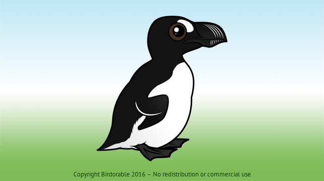 Cute Great Auk by Birdorable