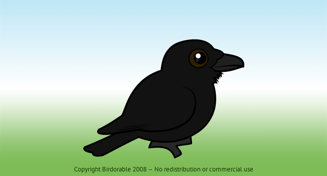 Meet the Clever and Mysterious Common Raven | Birdorable Birds