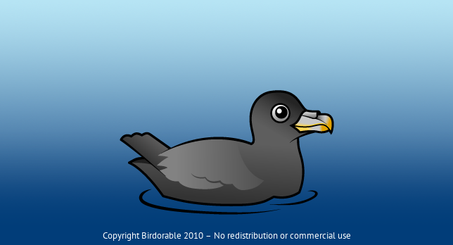 Cute Northern Fulmar by Birdorable